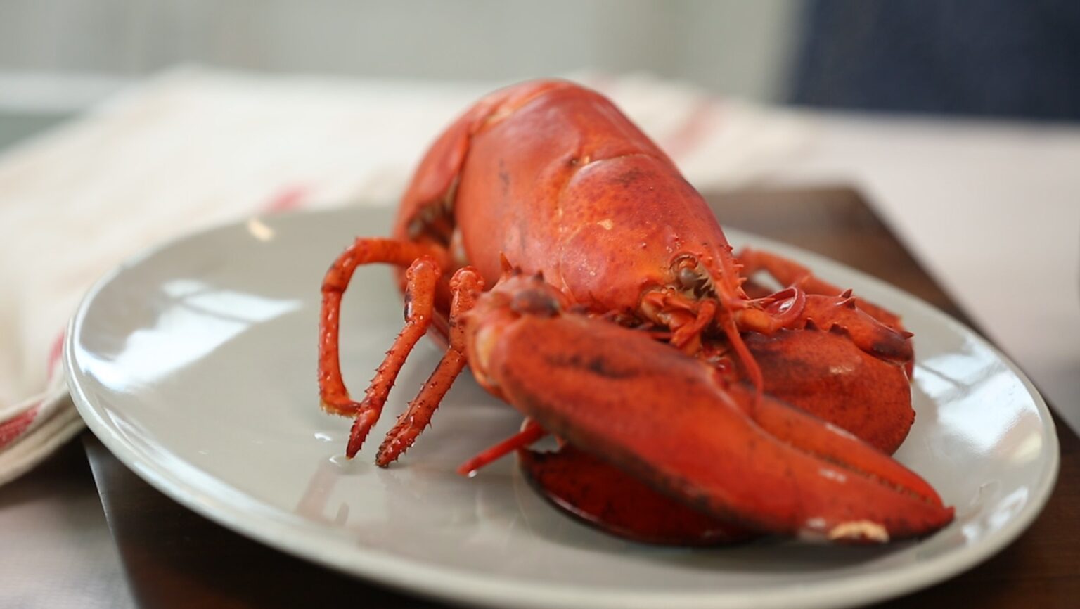 How to Cook Lobster at Home | What’s for Dinner?